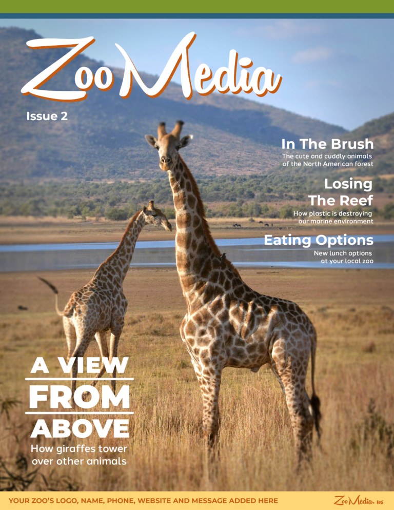 Magazine – Zoo Media bring new ideas to Zoos Worldwide