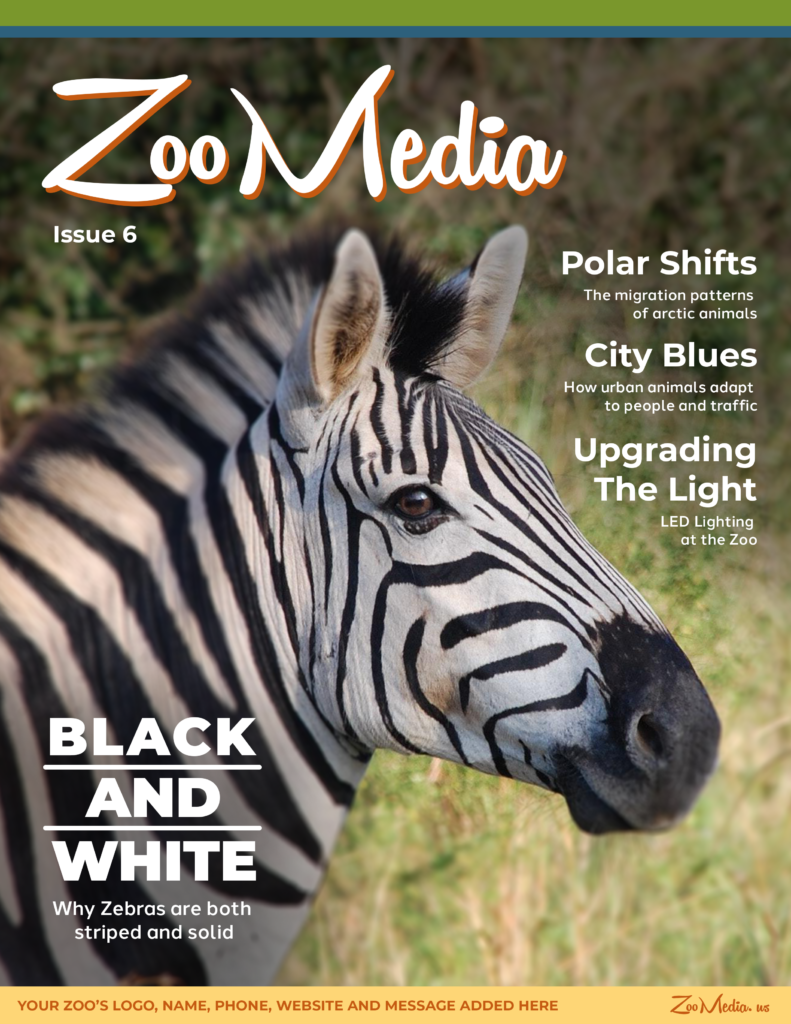 Magazine | Zoo Media bring new ideas to Zoos Worldwide